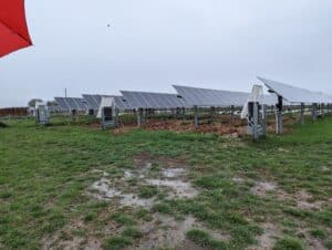 Jack’s Solar Garden: An Agrivoltaics Project We Love - Exact Solar