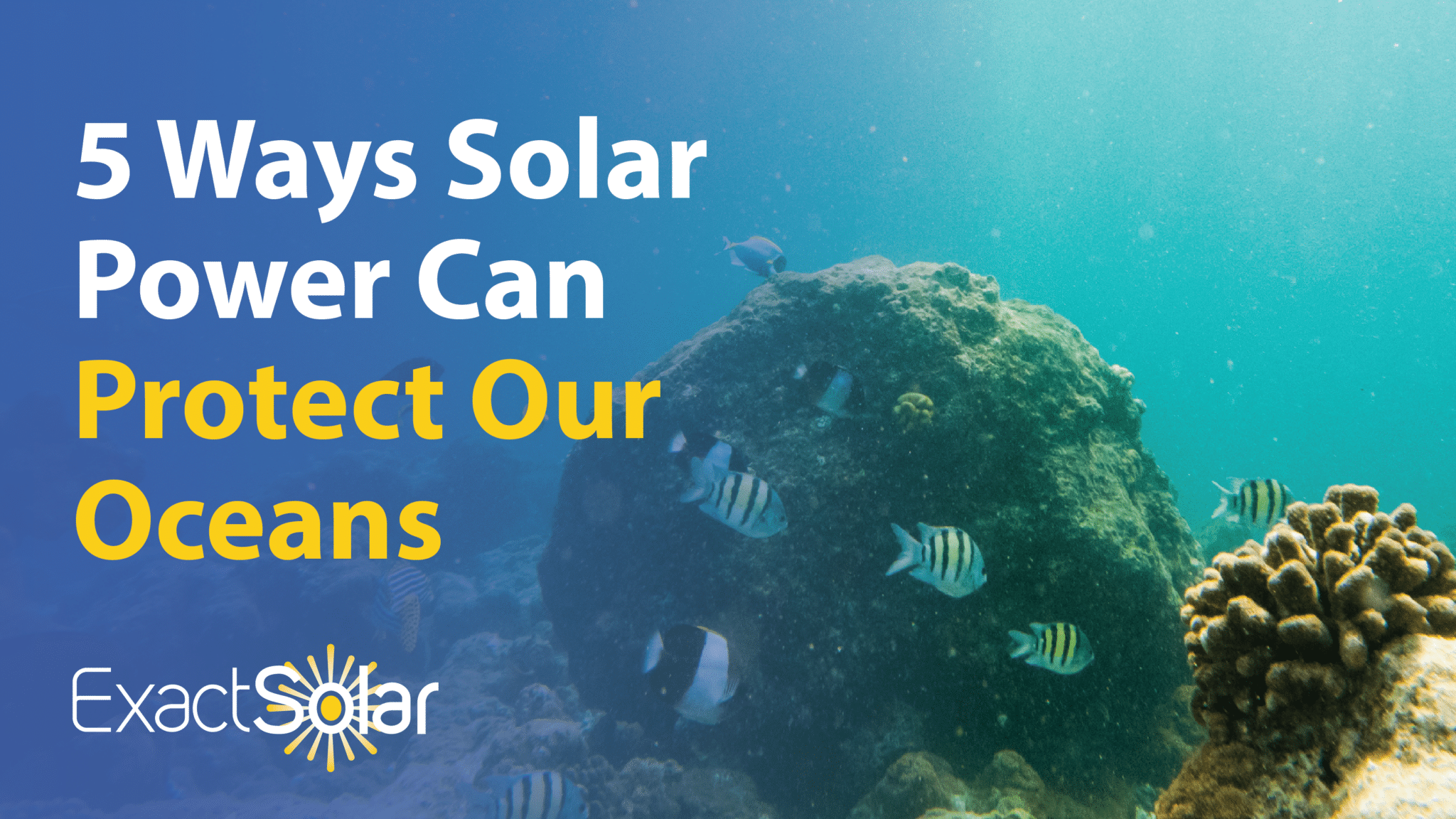 5 Ways Solar Power Can Protect Our Oceans - Exact Solar